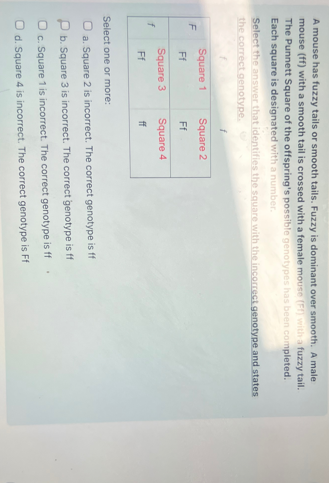 Solved A mouse has fuzzy tails or smooth tails. Fuzzy is | Chegg.com