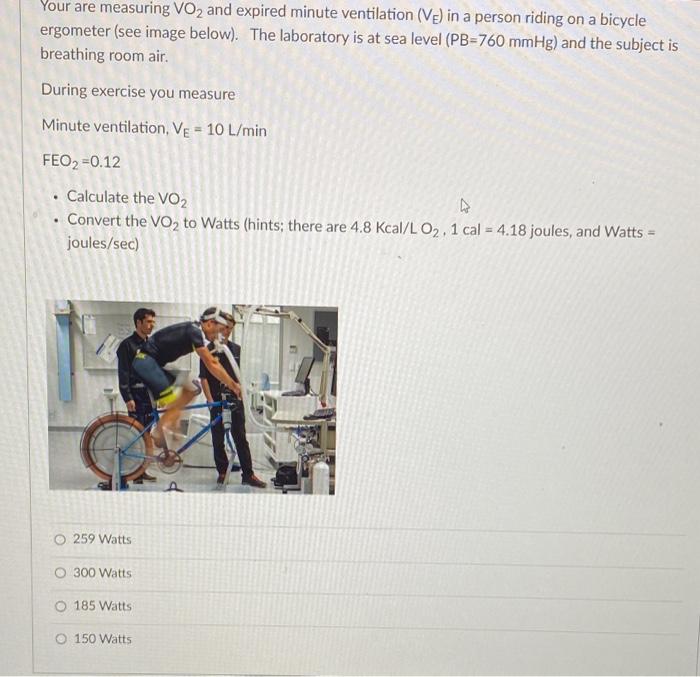 Solved Your are measuring VO2 and expired minute ventilation | Chegg.com