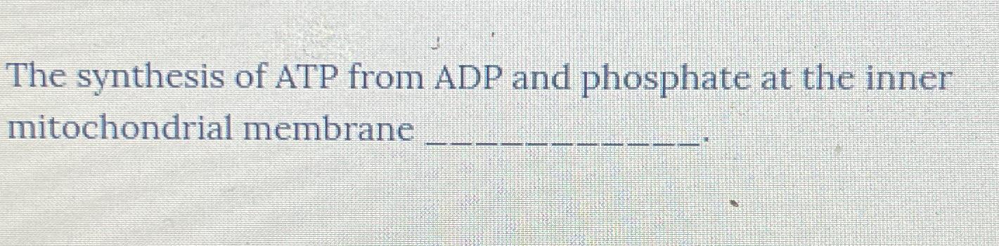 Solved The synthesis of ATP from ADP and phosphate at the | Chegg.com