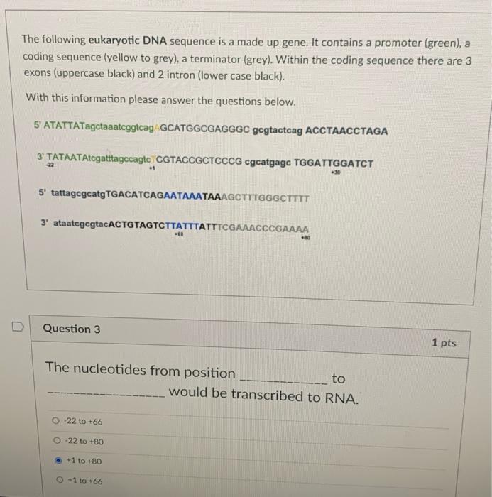 Solved The following eukaryotic DNA sequence is a made up | Chegg.com