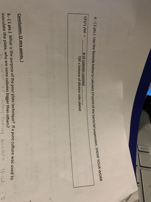 Solved calculate the total dilution factors for each test | Chegg.com