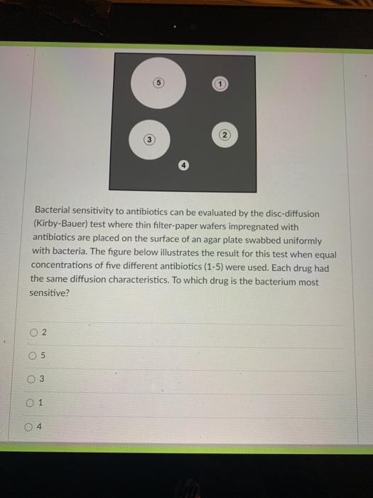 Solved In 1994, Stephen Crohn became the first person | Chegg.com