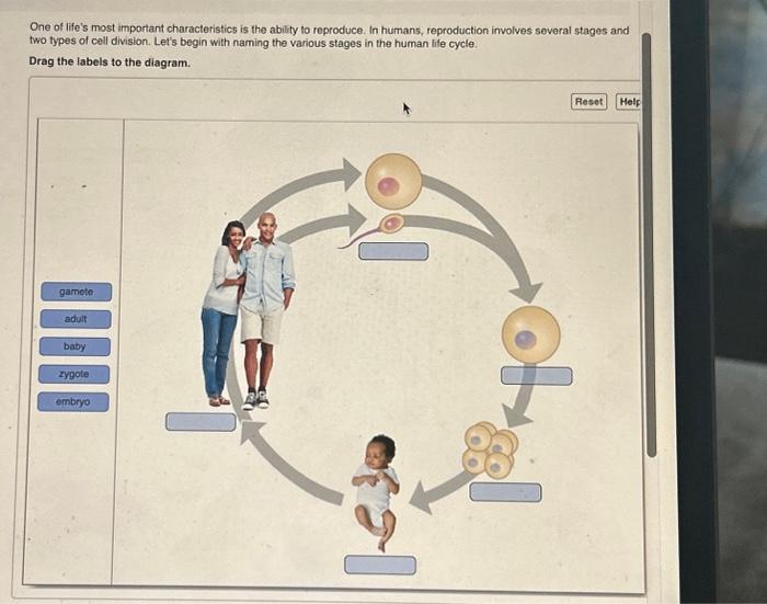 Solved One of life's most important characteristics is the | Chegg.com