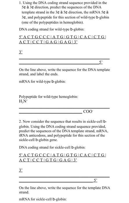 Solved 1 Using The Dna Coding Strand Sequence Provided In