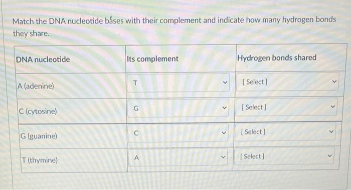 Solved Match the DNA nucleotide báses with their complement | Chegg.com
