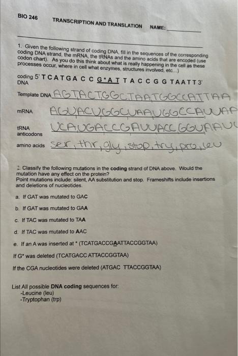 Solved 1. Given the following strand of coding DNA, fill in | Chegg.com
