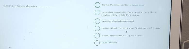 Solved During binary fission in a bacterium , ﻿the two DNA | Chegg.com