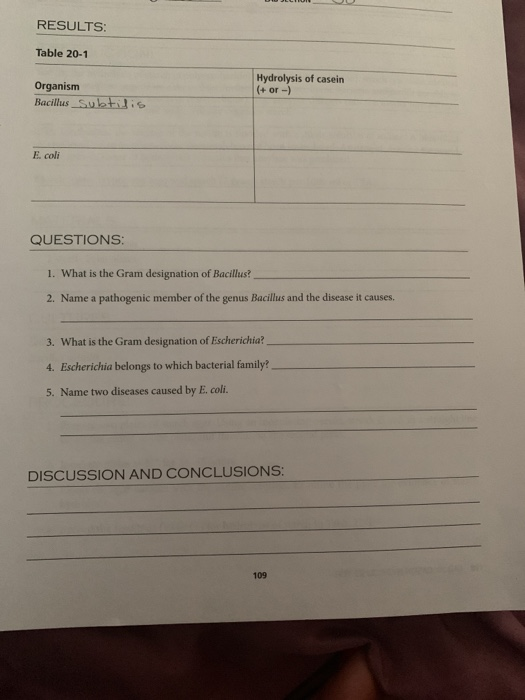 Solved LAB 20: CASEIN HYDROLYSIS TEST INTRODUCTION: This | Chegg.com