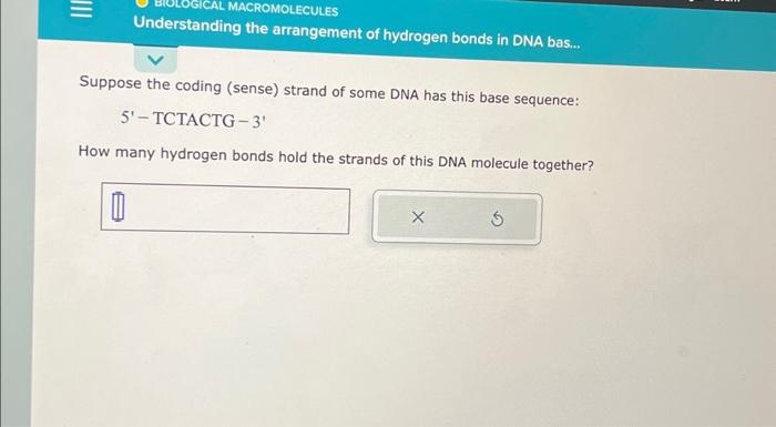 Solved Suppose the coding (sense) strand of some DNA has | Chegg.com
