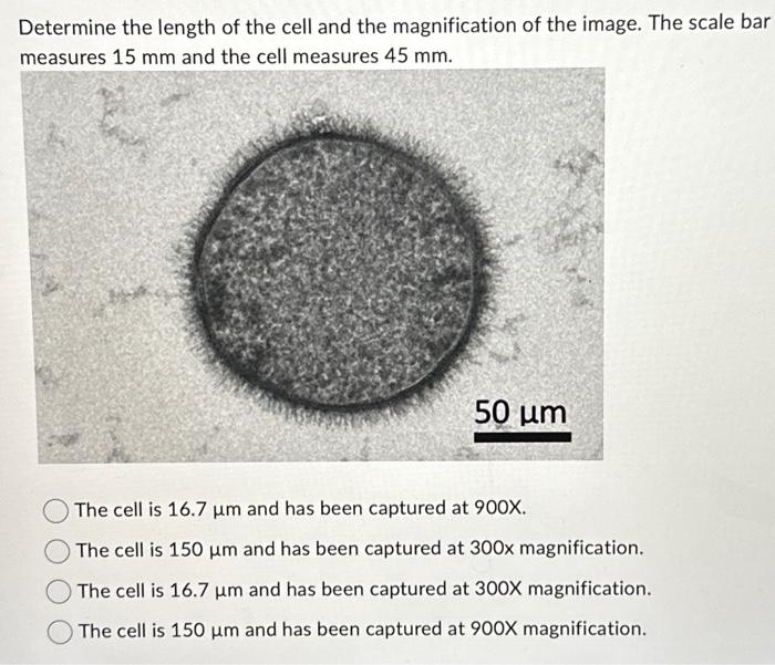 Solved Determine the length of the cell and the | Chegg.com