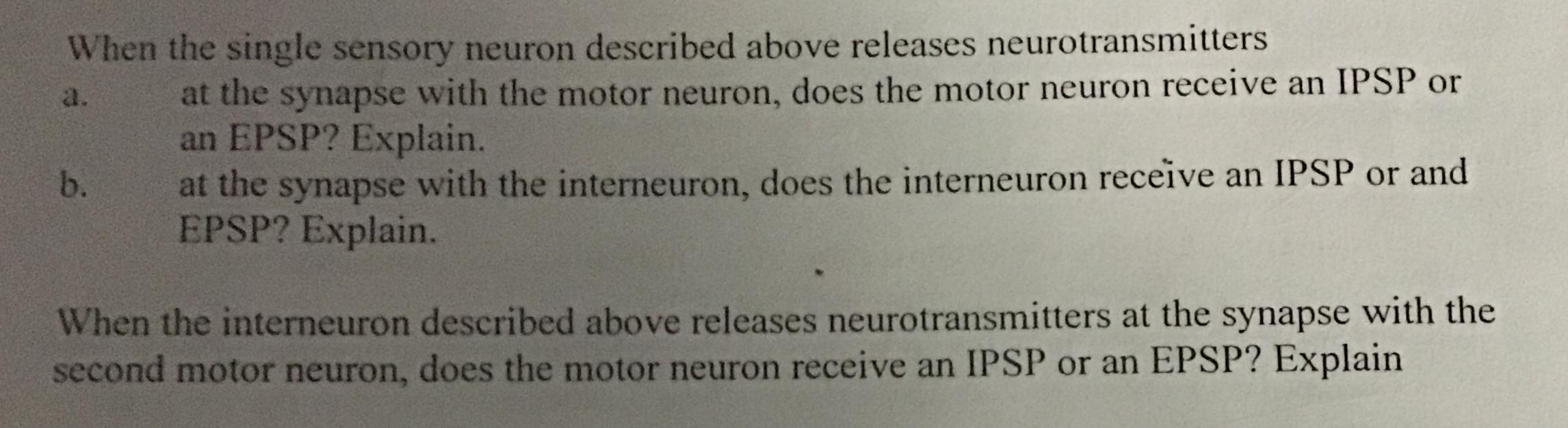 Solved When the single sensory neuron described above | Chegg.com