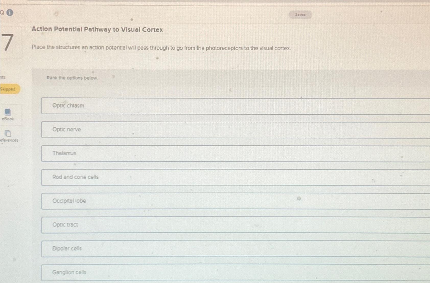 Solved Action Potential Pathway to Visual CortexPlace the | Chegg.com