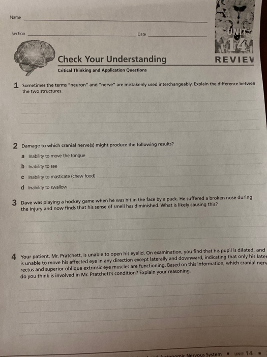 Solved Name *UNIT Section Date REVIEV Check Your | Chegg.com