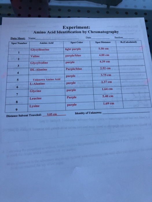 Solved Experiment: Amino Acid Identification by | Chegg.com