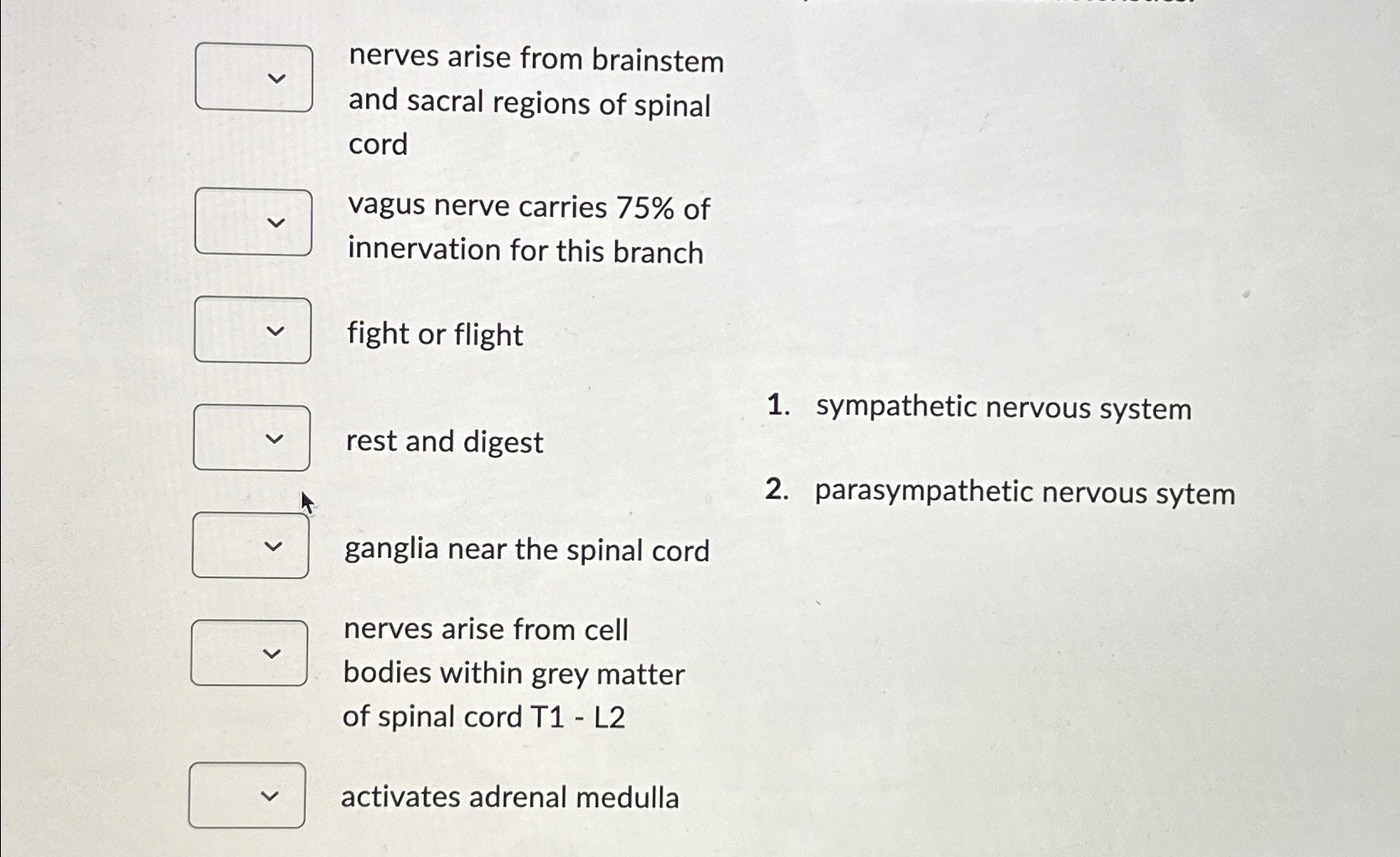 Solved nerves arise from brainstem and sacral regions of | Chegg.com