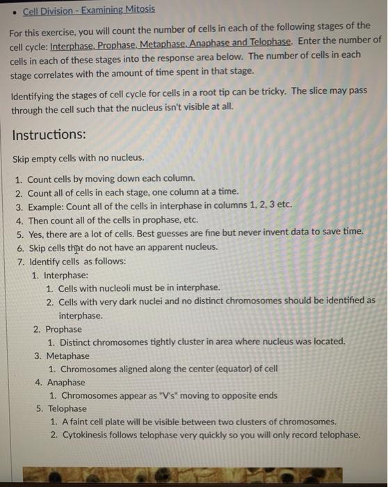 Solved Question Cell Division - Examining Mitosis In this | Chegg.com