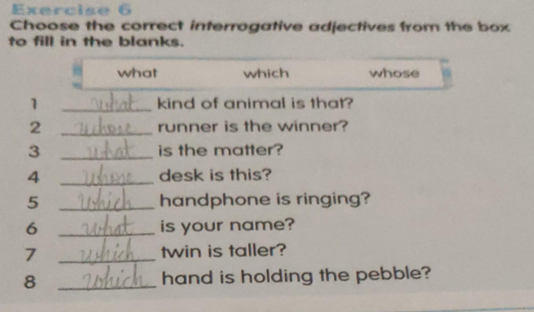 Solved Choose the correct interrogative adjectives from the | Chegg.com