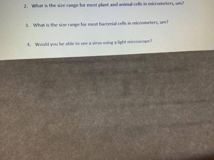 Solved Relative size of microorganisms • Compare the | Chegg.com