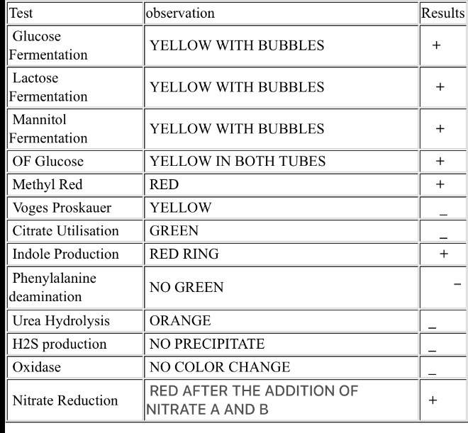 Solved B. Discussion of Sugar Fermentation (Phenol Red | Chegg.com