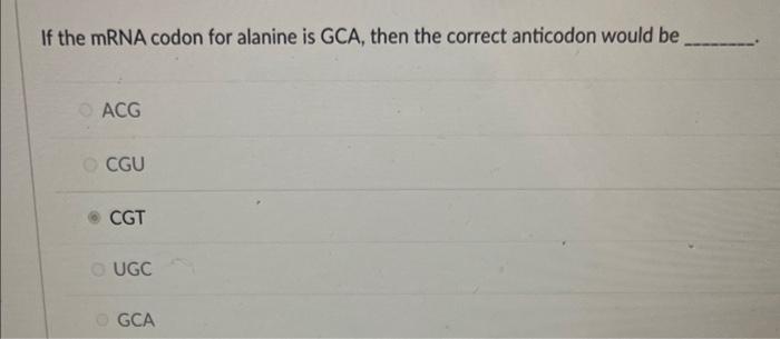 Solved If the mRNA codon for alanine is GCA, then the | Chegg.com