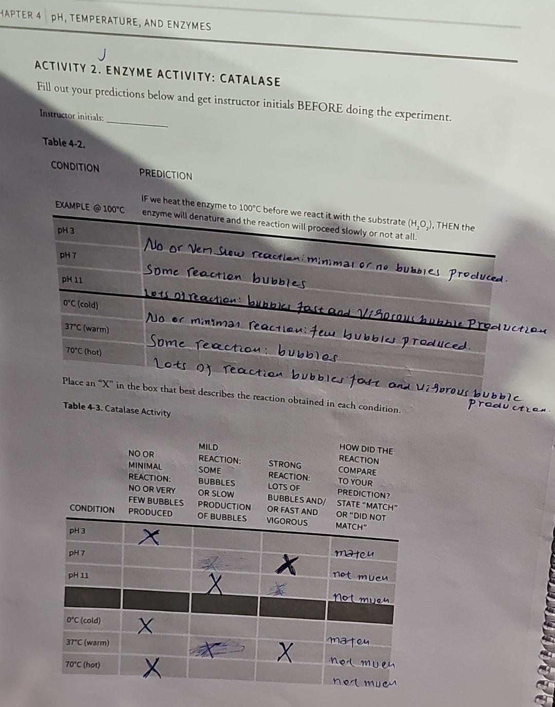 Solved ACTIVITY 2. ENZYME ACTIVITY: CATALASE Fill out your | Chegg.com