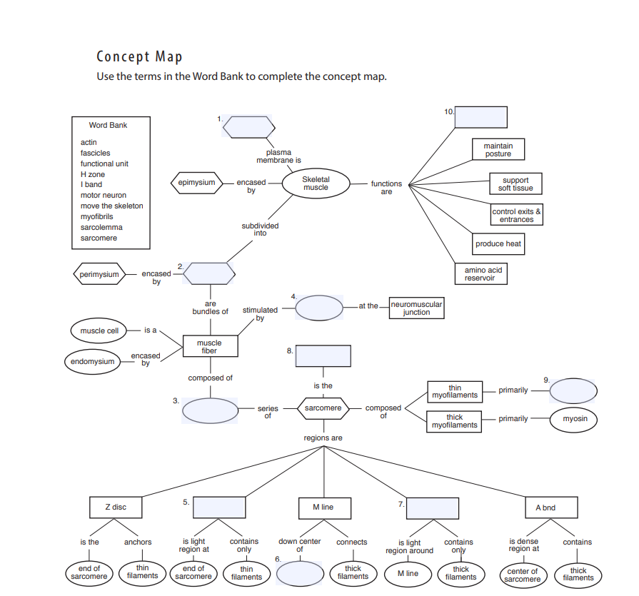 Solved Concept MapUse the terms in the Word Bank to complete | Chegg.com