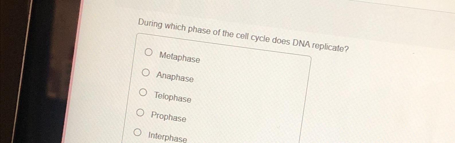 Solved During which phase of the cell cycle does DNA | Chegg.com