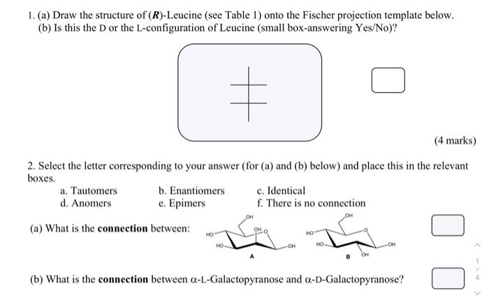 Solved 1. (a) Draw the structure of (R)-Leucine (see Table | Chegg.com