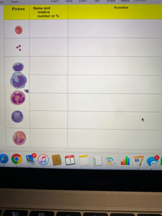 Solved aw Zoom Insert Table Chart Text Shape Media Comment | Chegg.com