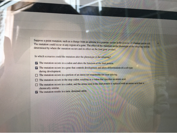 Solved Suppose a point mutation, such as a change from an | Chegg.com