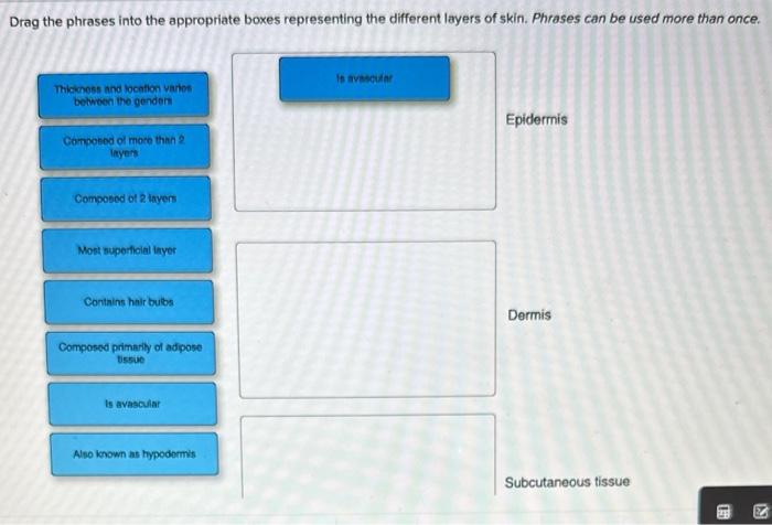 Solved Drag the phrases into the appropriate boxes | Chegg.com