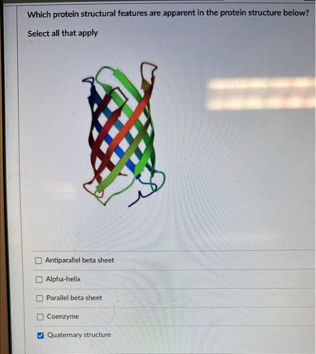 Solved Which protein structural features are apparent in the | Chegg.com