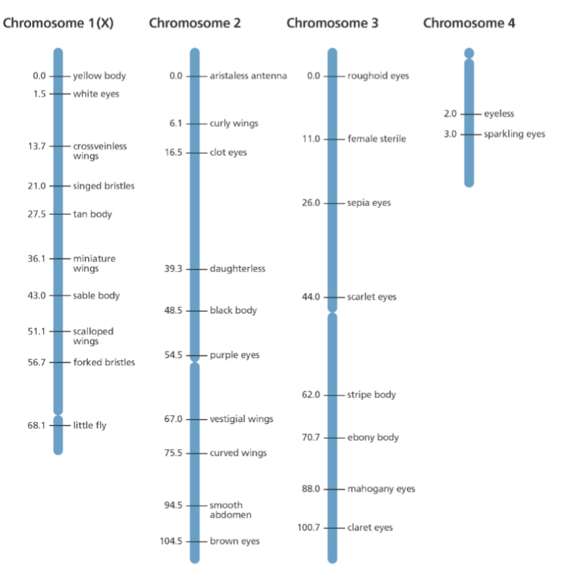 Devise a strategy to map an autosomal dominant | Chegg.com