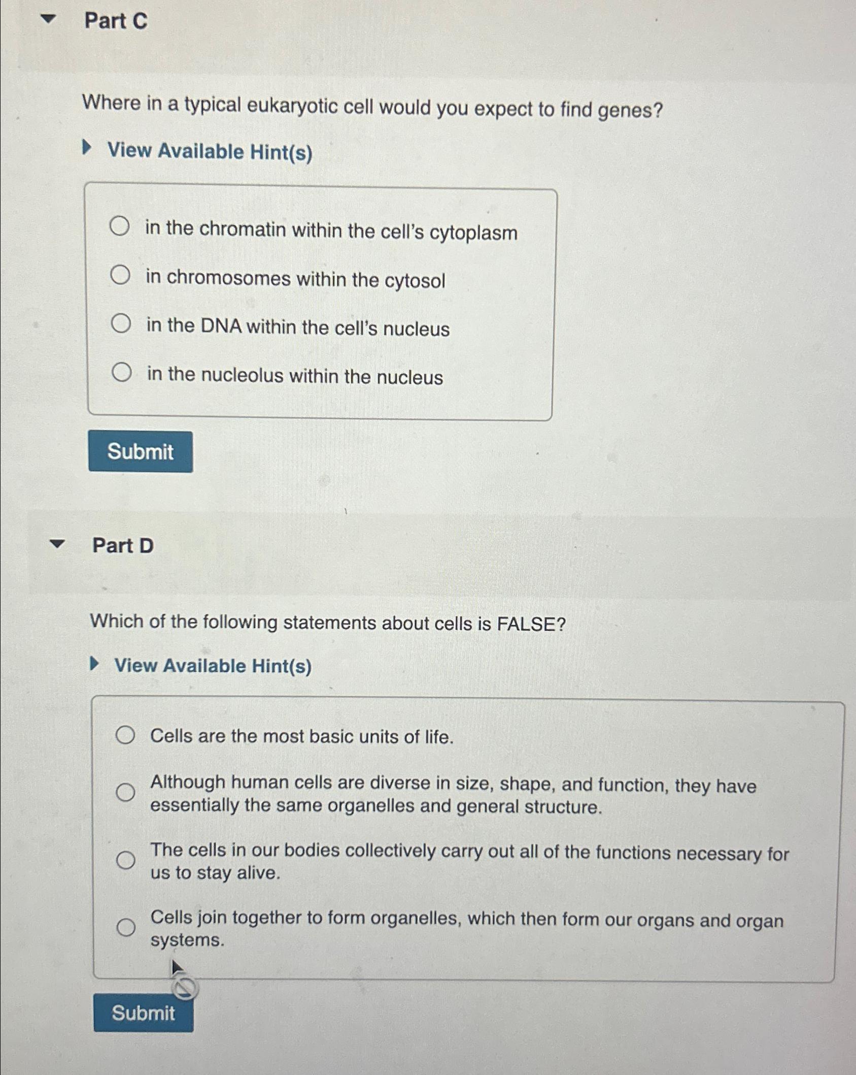 Solved Part CWhere in a typical eukaryotic cell would you | Chegg.com