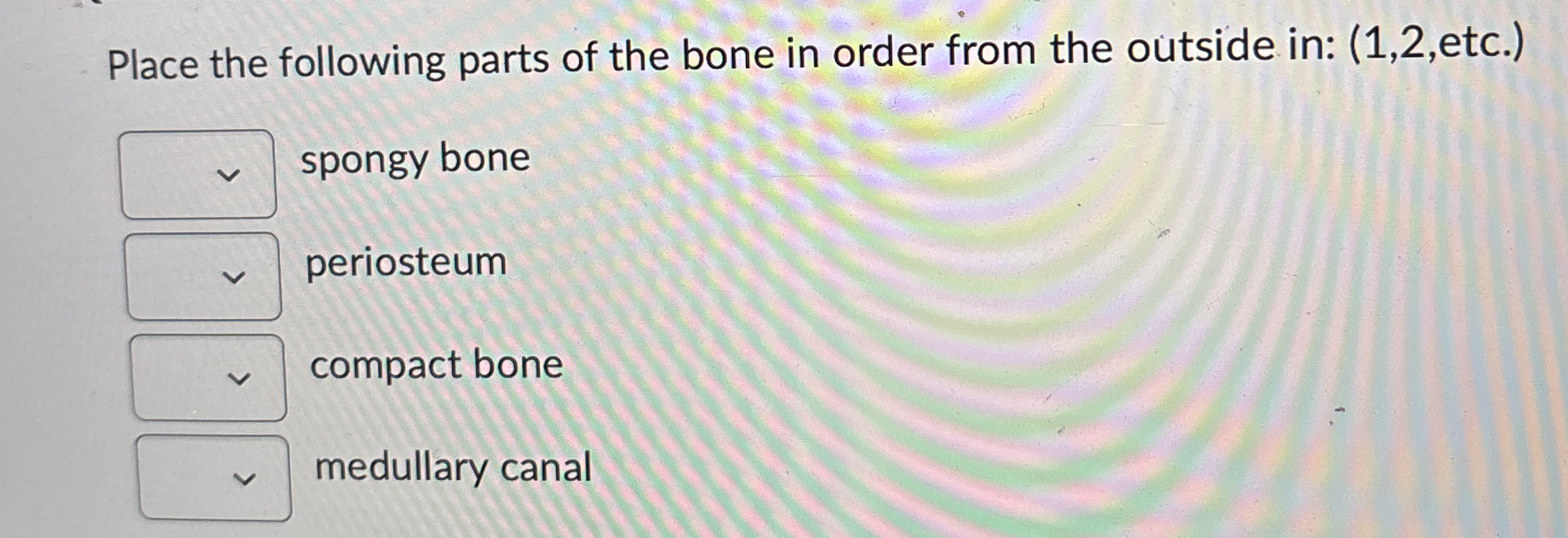 Solved Place the following parts of the bone in order from | Chegg.com