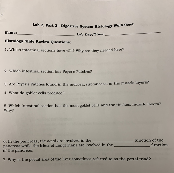 Solved Lab 2, Part 2-Digestive System Histology Works Name: | Chegg.com