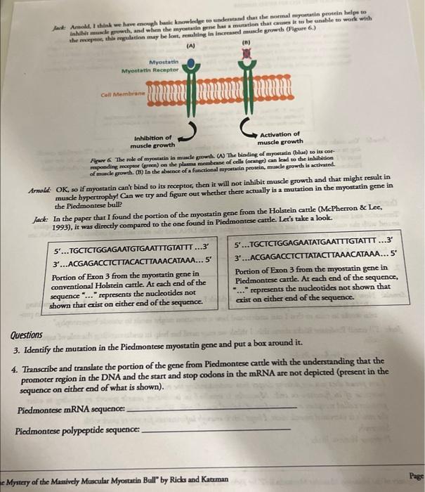 Part III - The Role of Myostatin in Muscle Growth Jan | Chegg.com