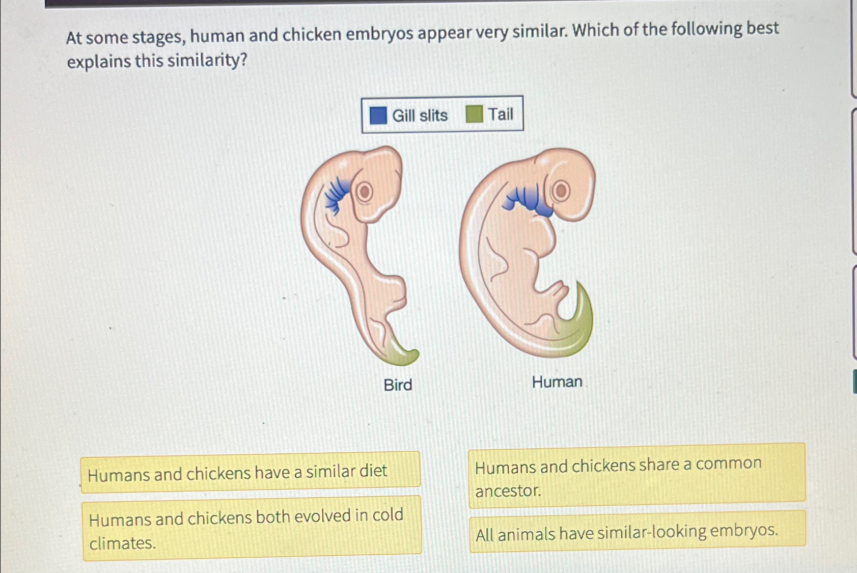 Solved At some stages, human and chicken embryos appear very | Chegg.com