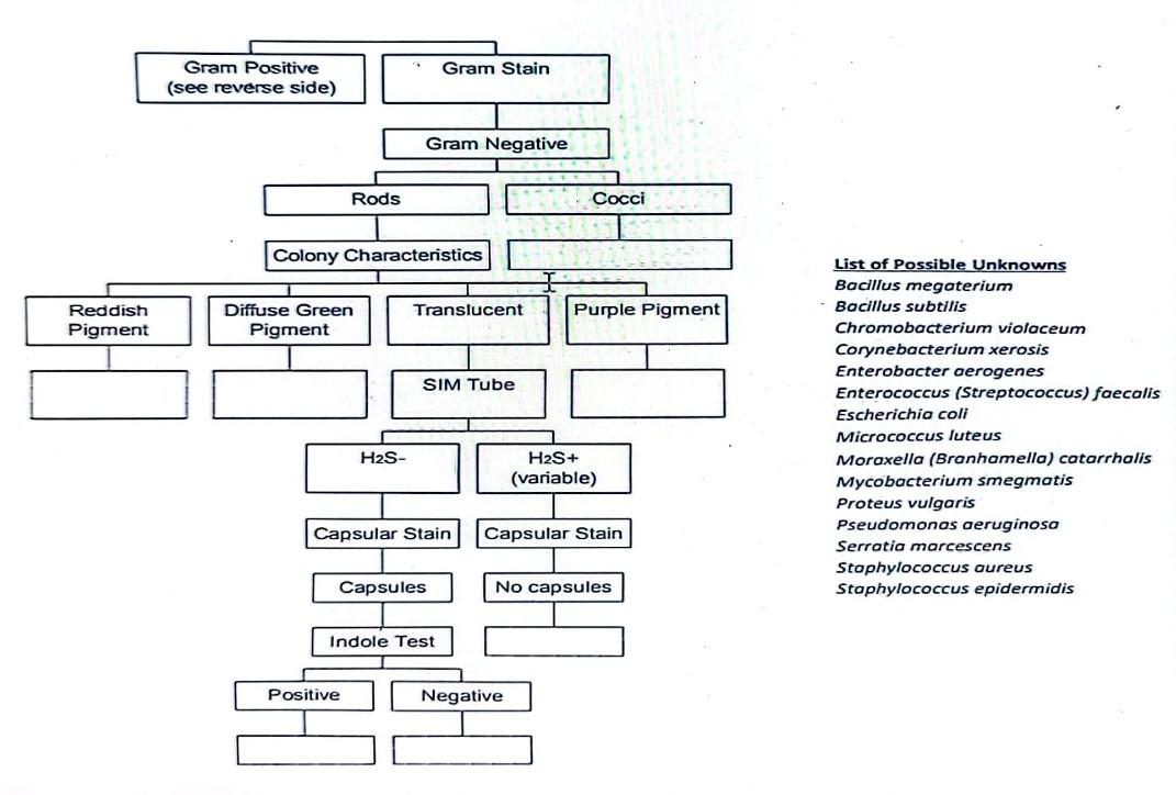 Solved could someone please help me finish this flow chart | Chegg.com