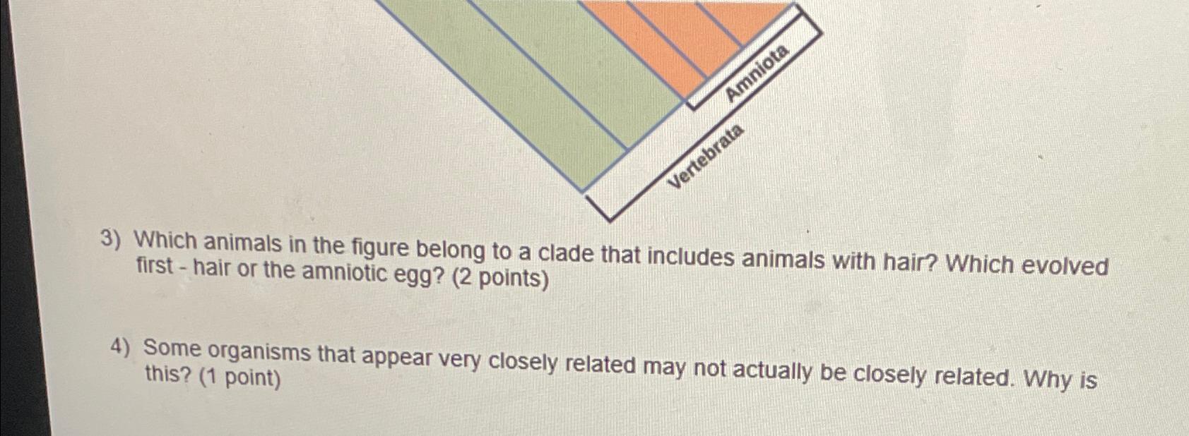 Solved Which animals in the figure belong to a clade that | Chegg.com