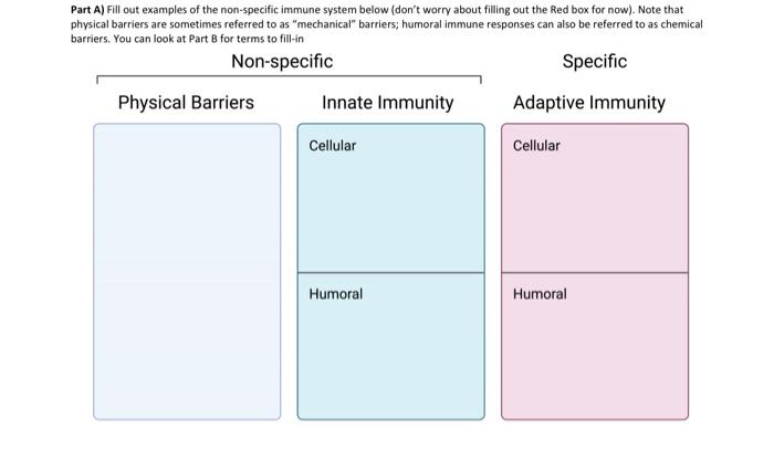 Solved Part A) Fill out examples of the non-specific immune | Chegg.com