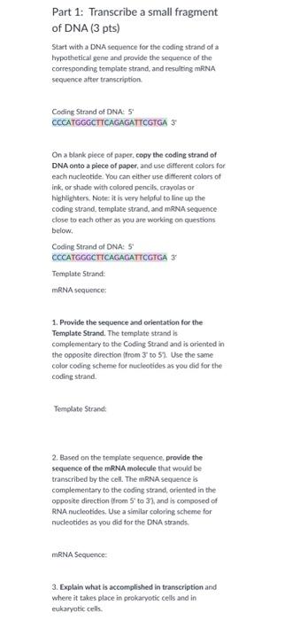 Solved Part 1: Transcribe a small fragment of DNA (3 pts) | Chegg.com
