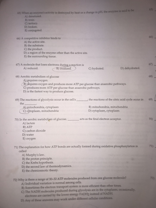 solved-65-when-an-enzyme-s-activity-is-destroyed-by-heat-or-chegg