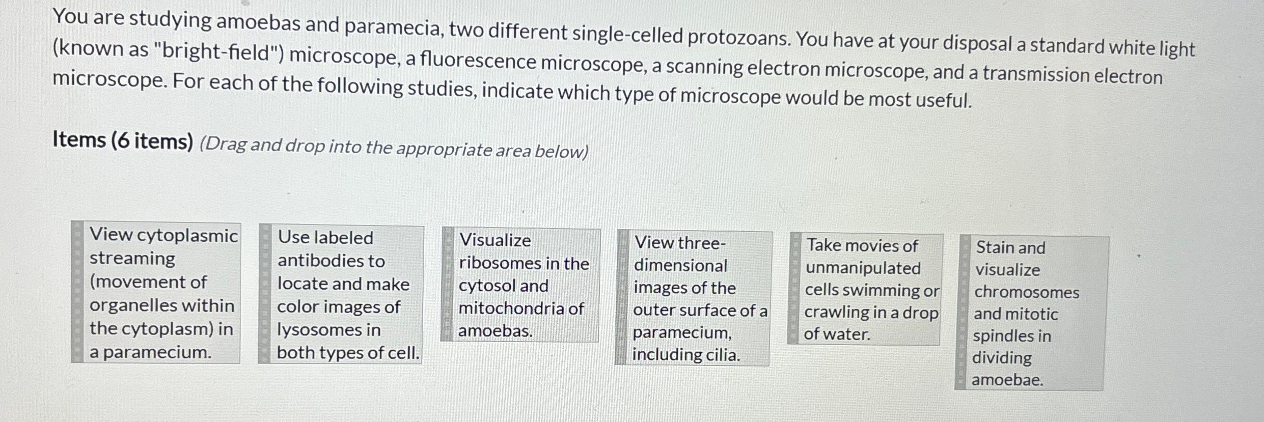 Solved You are studying amoebas and paramecia, two different | Chegg.com
