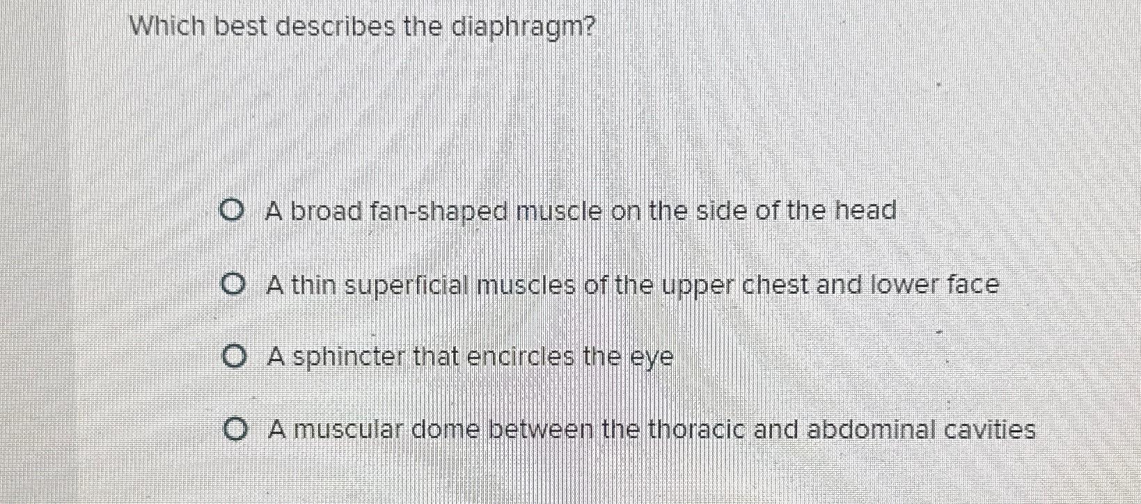 Solved Which best describes the diaphragm?A broad fan-shaped | Chegg.com