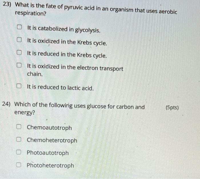 Solved 23) What is the fate of pyruvic acid in an organism | Chegg.com