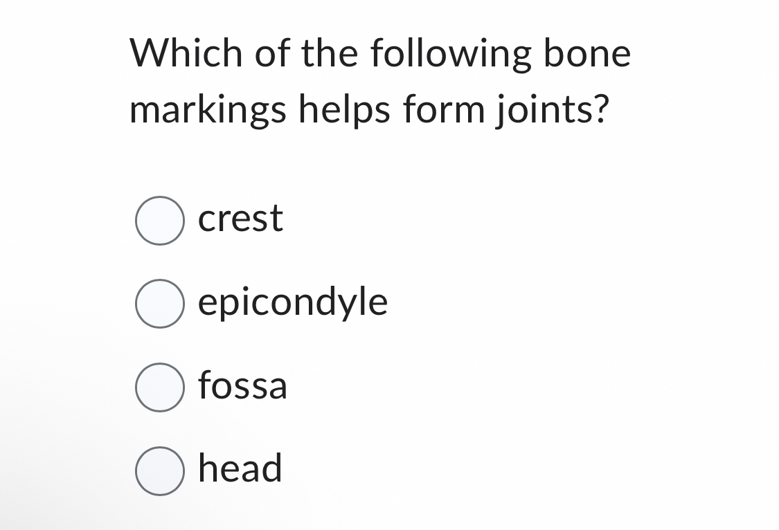 Solved Which of the following bone markings helps form | Chegg.com