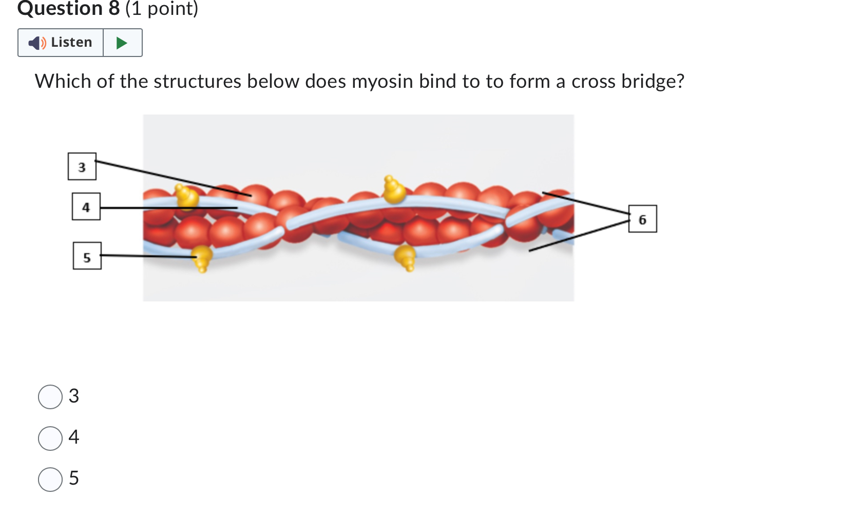 Solved Which of the structures below does myosin bind to to | Chegg.com