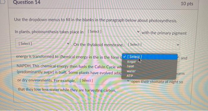 Solved Question 14 10 Pts Use The Dropdown Menus To Fill In 