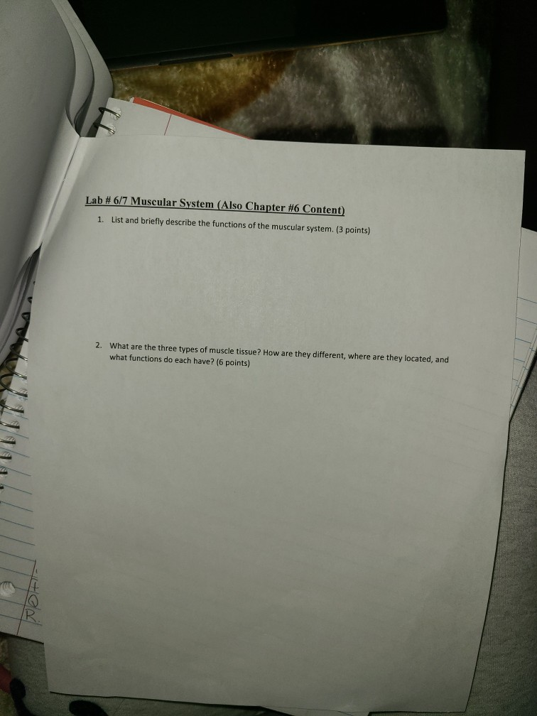 Solved Lab # 6/7 Muscular System (Also Chapter #6 Content) | Chegg.com